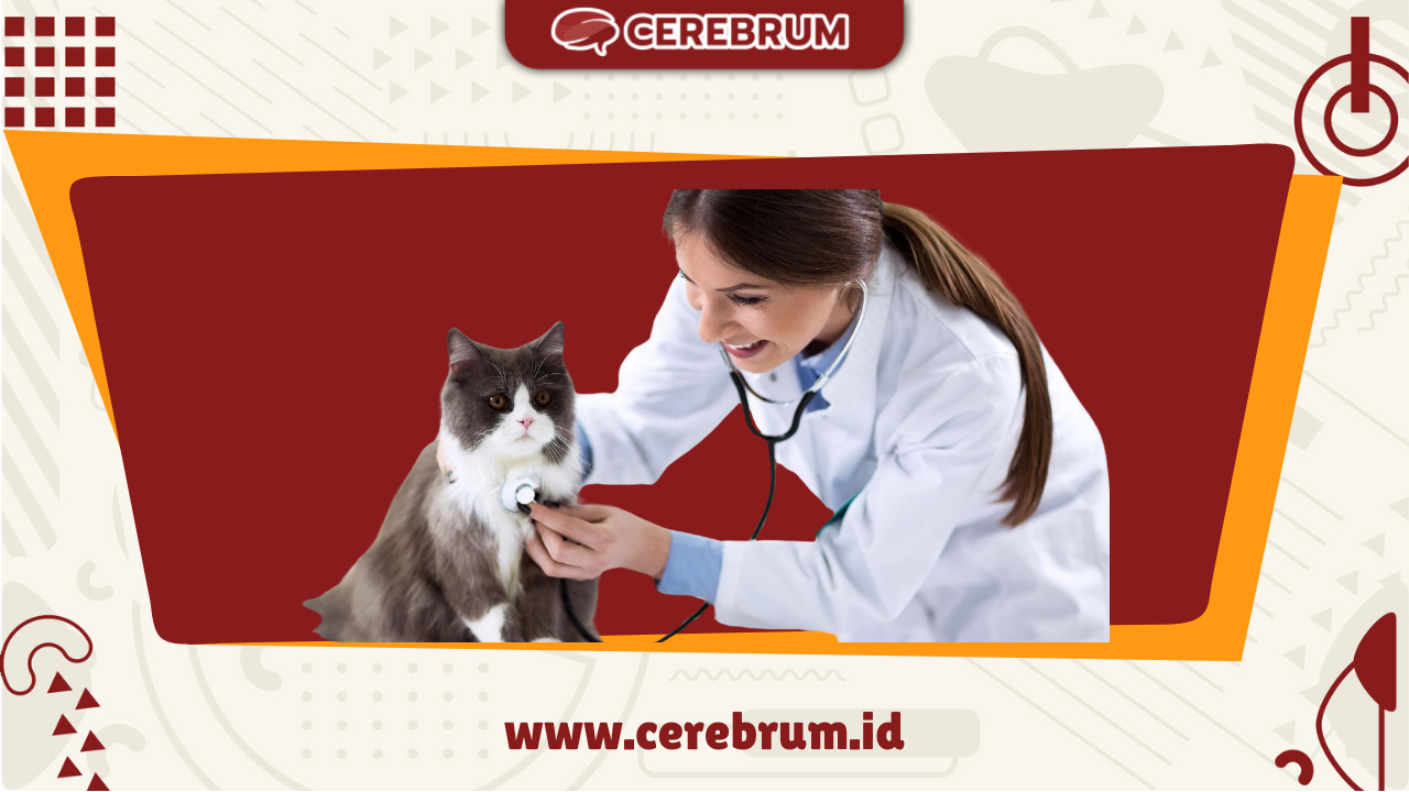 Biaya Kuliah Dokter Hewan - Ternyata Gak Mahal Banget! Biaya Kuliah Dokter Hewan - Ternyata Gak Mahal Banget!